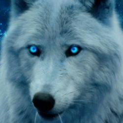 Иконка канала zzzFURUDzzz