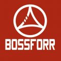 Иконка канала bossforr