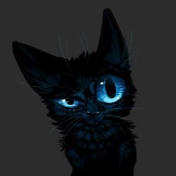 Иконка канала Вечерний_Кот