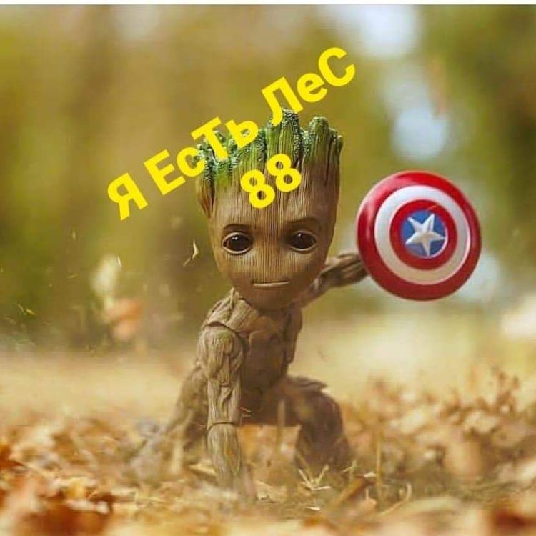 Иконка канала KISS OF WAR@USSR88ZONE