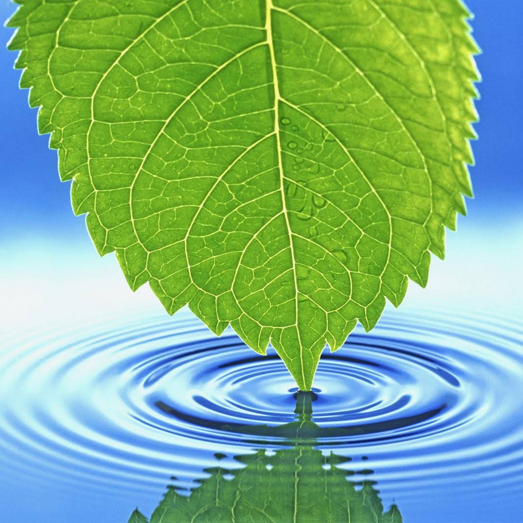 Иконка канала Orobey77