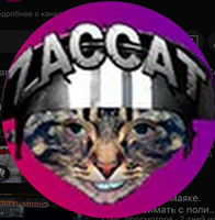 Иконка канала Zaccat