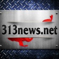 Иконка канала 313news.net