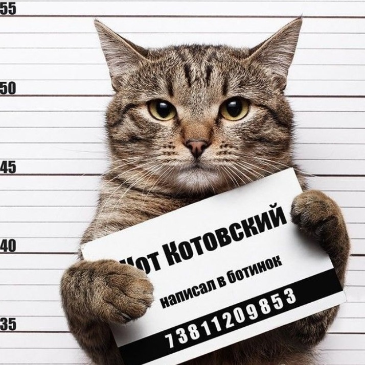 Иконка канала Kod_pamyati