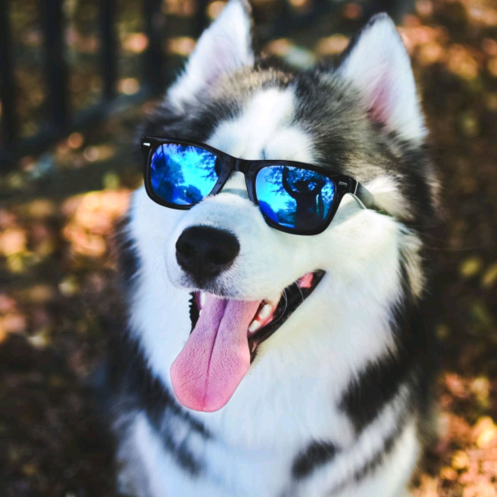 Иконка канала Likee 777