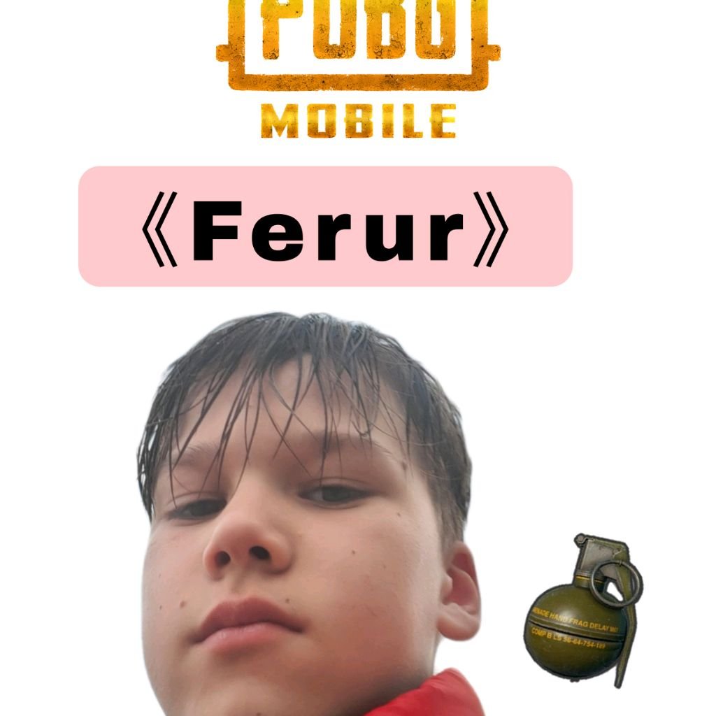 Иконка канала 《Ferur》
