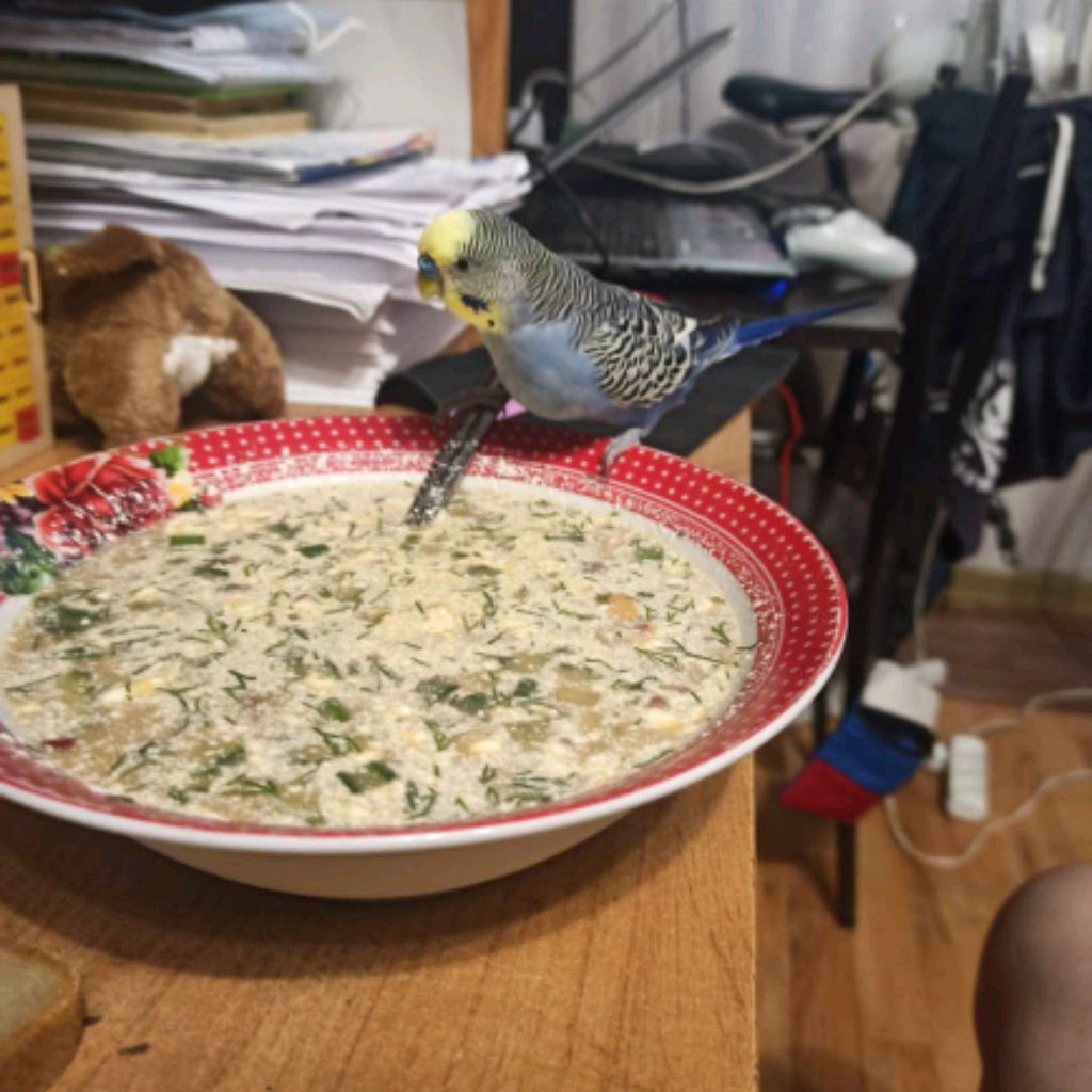 Иконка канала Яшка TV