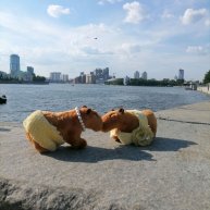 Иконка канала Семейство моих капибар