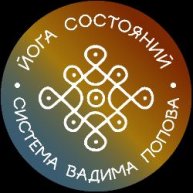 Иконка канала Система Вадима Попова