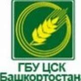 Иконка канала ГБУ ЦСК РБ