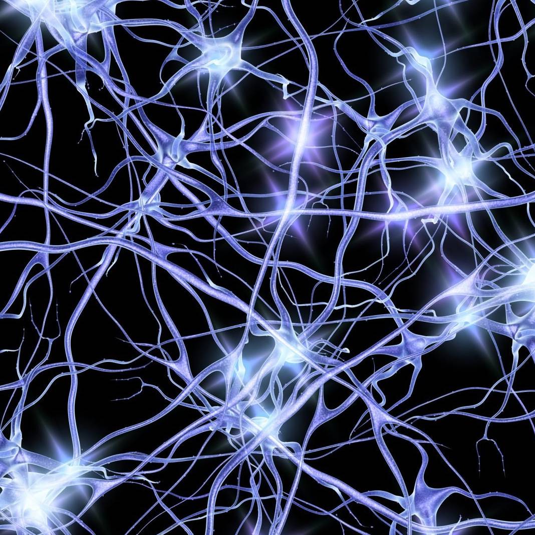 Иконка канала neural logistics