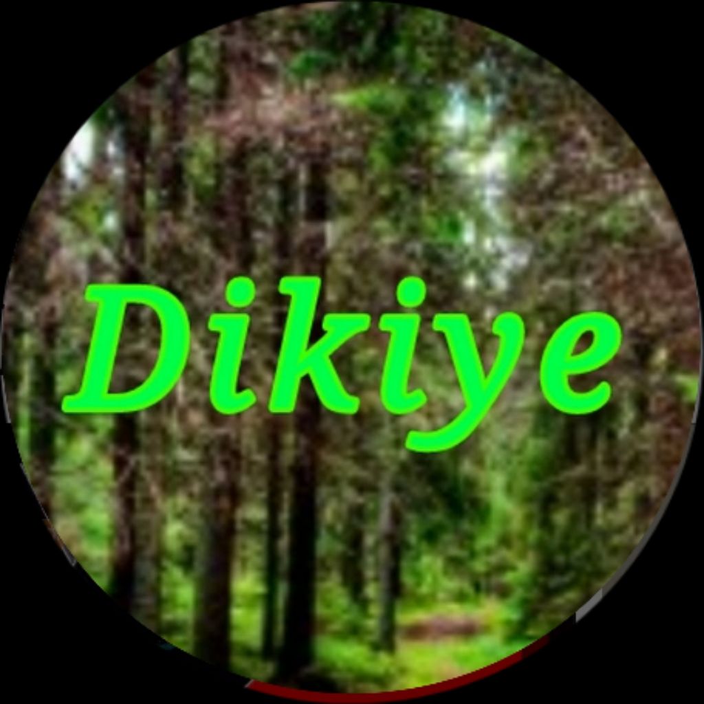 Иконка канала Dikiye