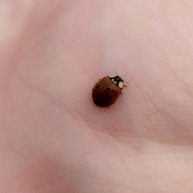 Иконка канала ПятачокGame