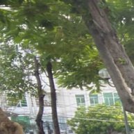 Иконка канала Путешествия Авантюристки