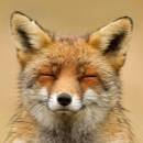 Иконка канала s0ver