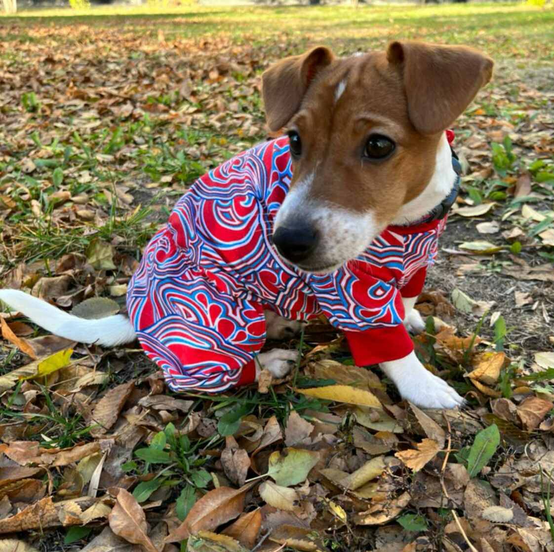 Иконка канала Коль-Оль