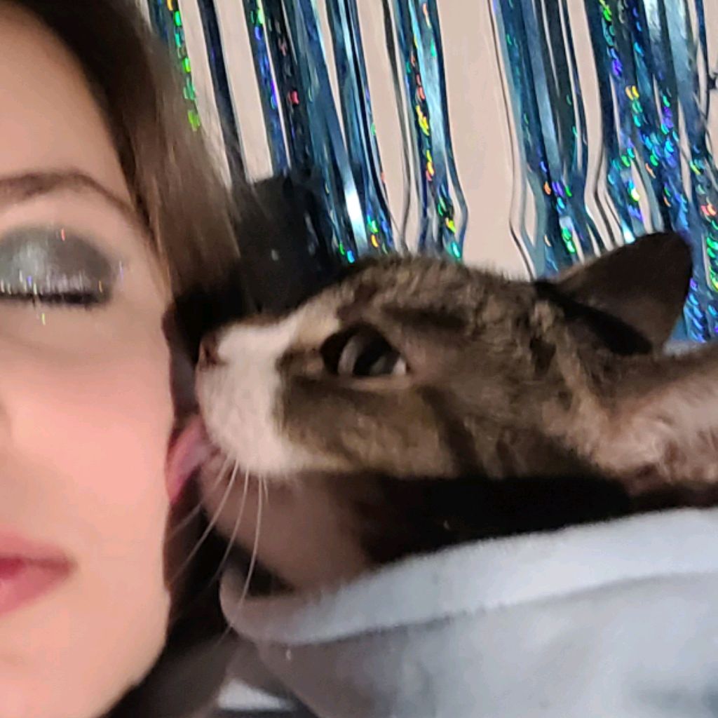 Иконка канала chipsikiiii