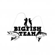 Иконка канала Big Fish Team