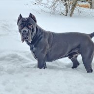 Иконка канала Slavyan71