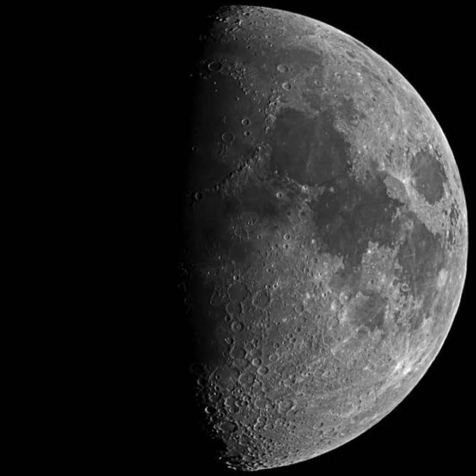 Иконка канала Black Forest