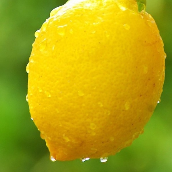 Иконка канала LimonsGroup