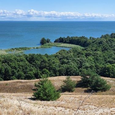 Иконка канала Мария Максимова кастинг-директор