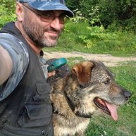 Иконка канала МЫ-ВОЛОНТЕРЫ.РФ, приют Щербинка ЮЗАО