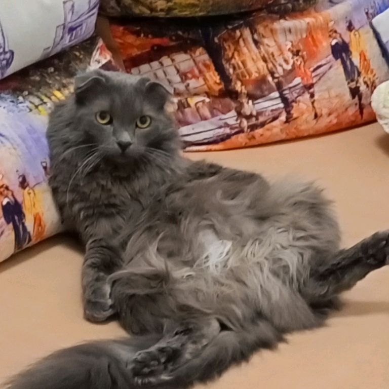 Иконка канала Alekseq или Chernish