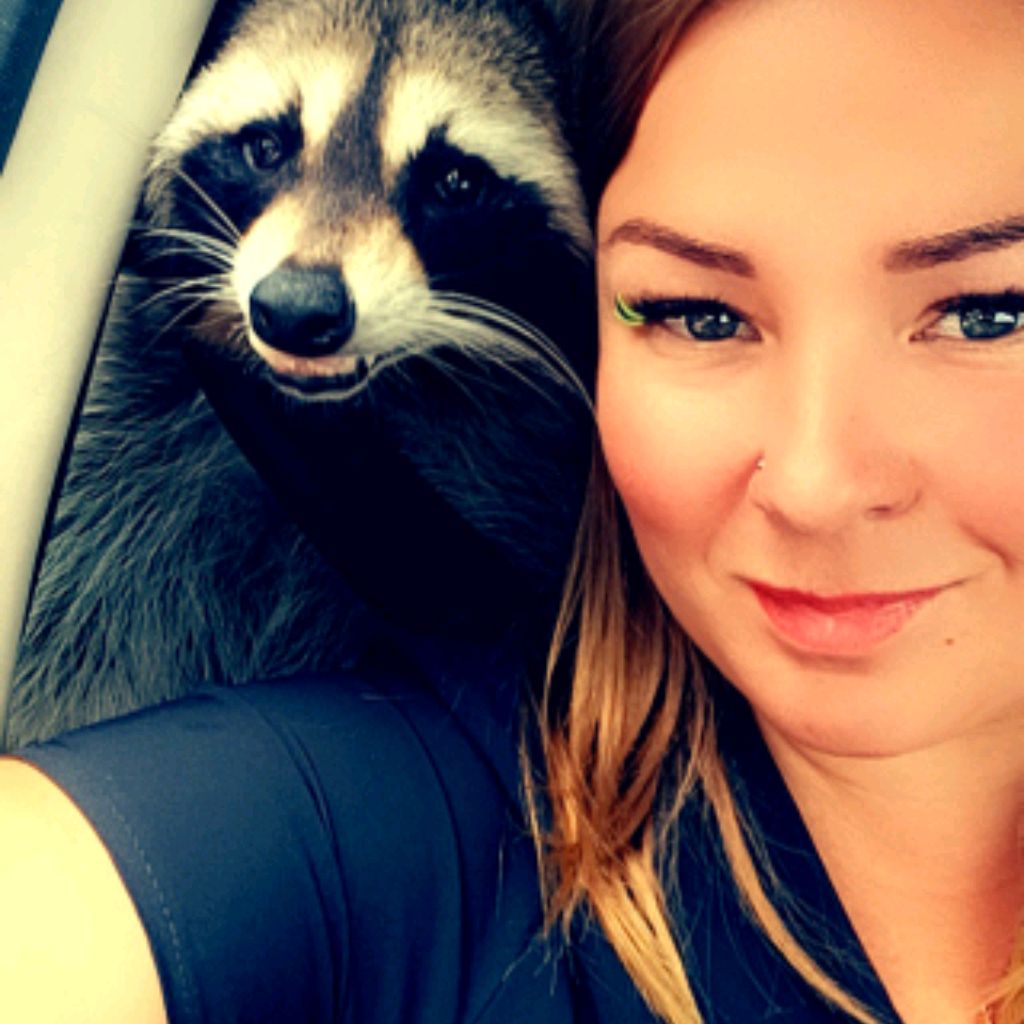 Иконка канала Енот ИЛЮША