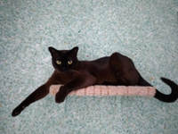 Иконка канала Реальная жизнь, real life, 現實生活