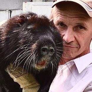 Иконка канала КУЗБАСС-НУТРИЯ