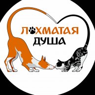 Иконка канала Лохматая Душа Валентины Силич