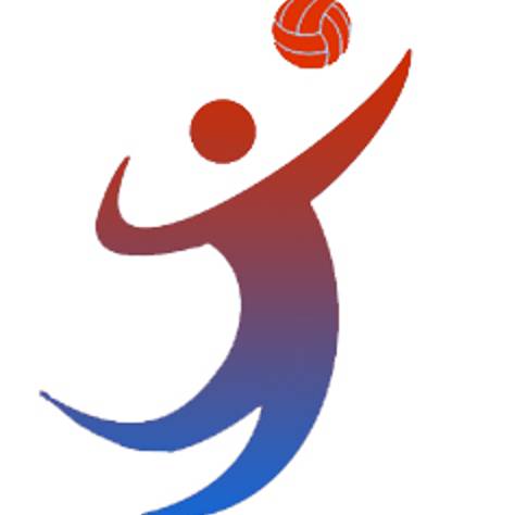 Иконка канала VolleyPlay Школа волейбола