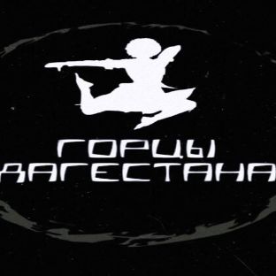 Иконка канала Ансамбль "ГОРЦЫ ДАГЕСТАНА"