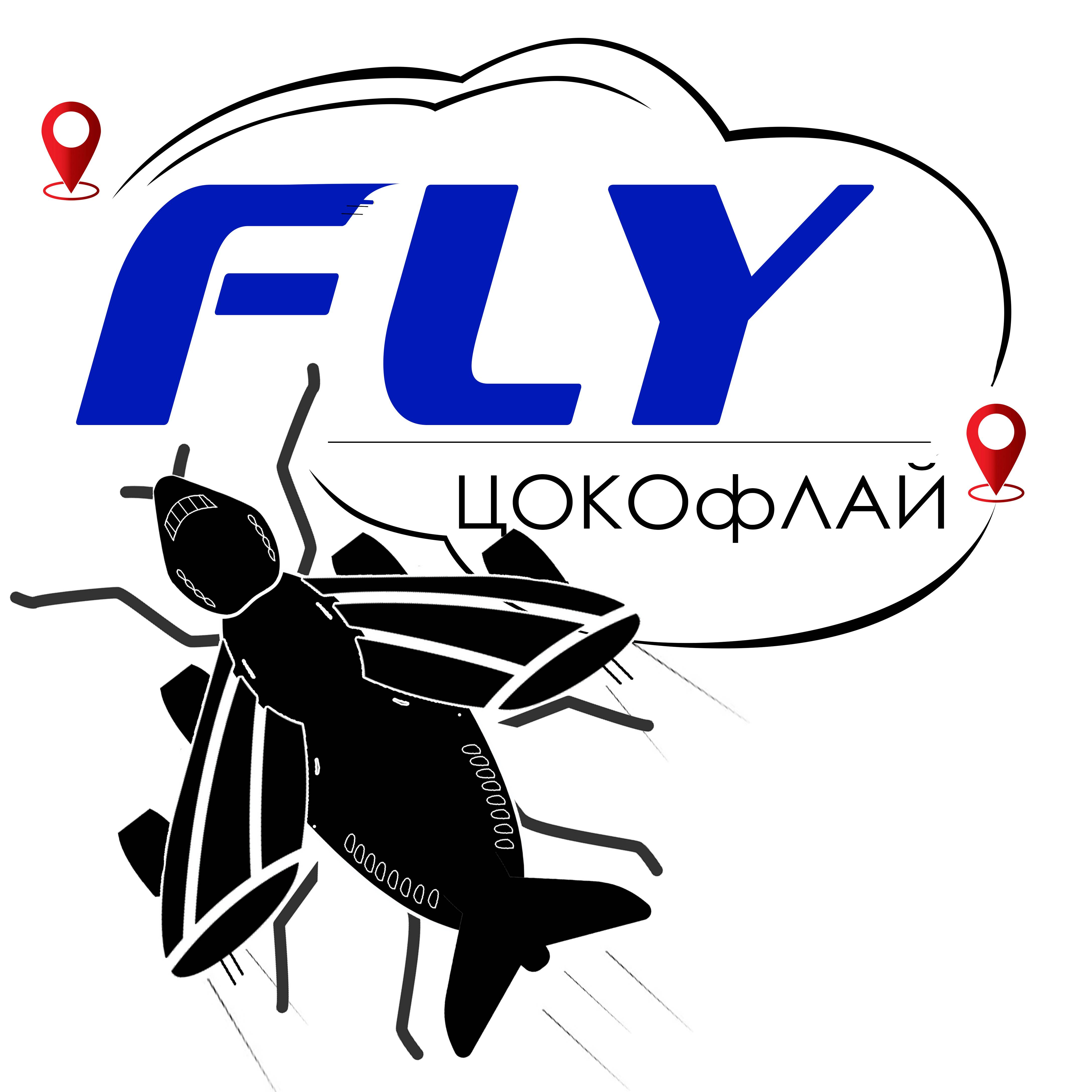 Иконка канала FLY / ЦОКОфлай