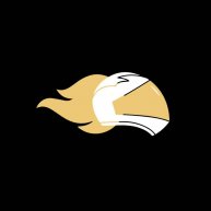 Иконка канала corpchamp.com