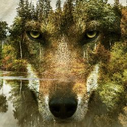 Иконка канала КОВАЛЬ и СЕРП и МОЛОТ