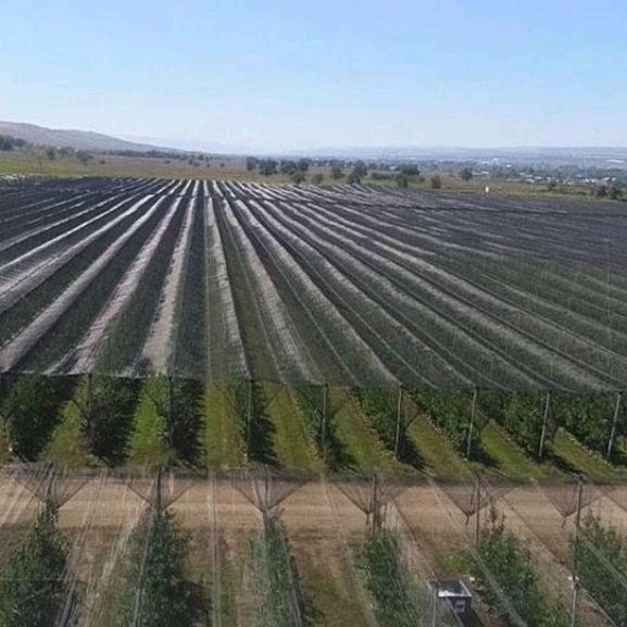 Иконка канала Сады