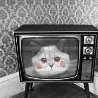 Иконка канала gulyaetas