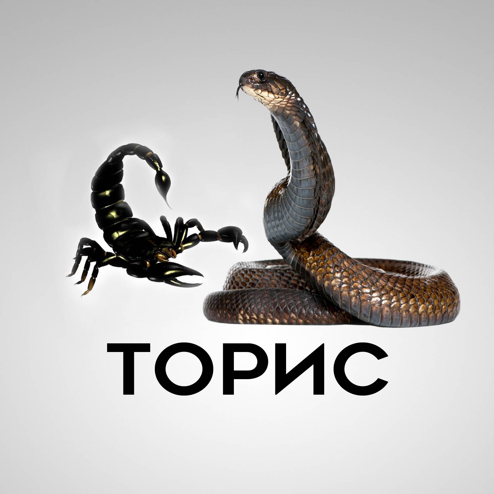 Иконка канала Торис