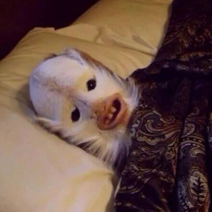 Иконка канала StepanKov___