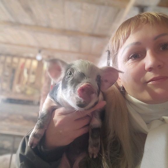 Иконка канала Деревенский блог САД ОГОРОД И МОЁ ХОЗЯЙСТВО