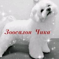 Иконка канала Творец