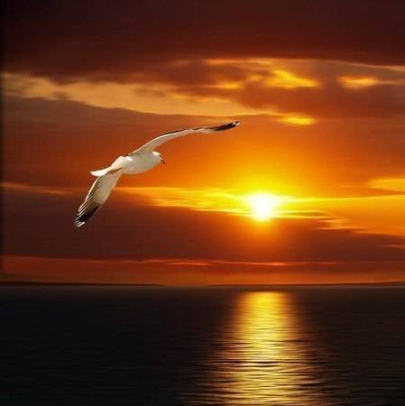 Иконка канала SneganaSnegana