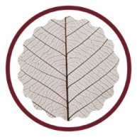 Иконка канала Sajva Group