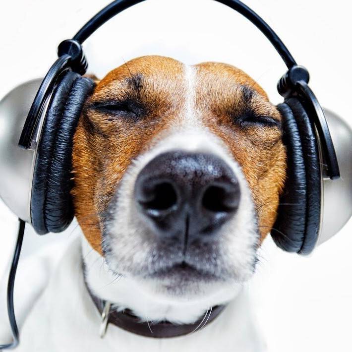 Иконка канала LardArtur