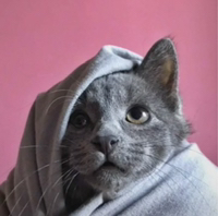 Иконка канала tu4ka