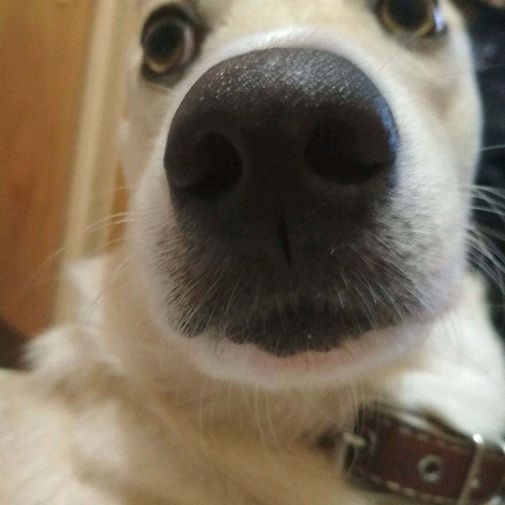 Лаки и Бася. Смотрите видео онлайн, бесплатно