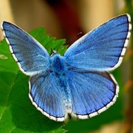 Иконка канала Крымские просторы