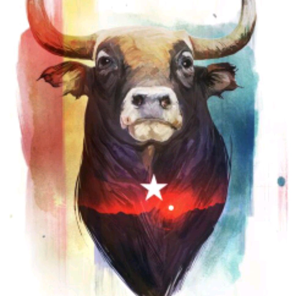 Иконка канала Bull